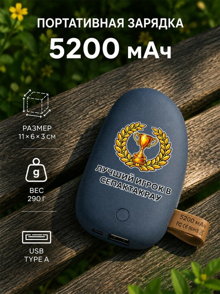 Внешний аккумулятор Pebble 5200 мАч с надписью "Лучший игрок в сепактакрау"