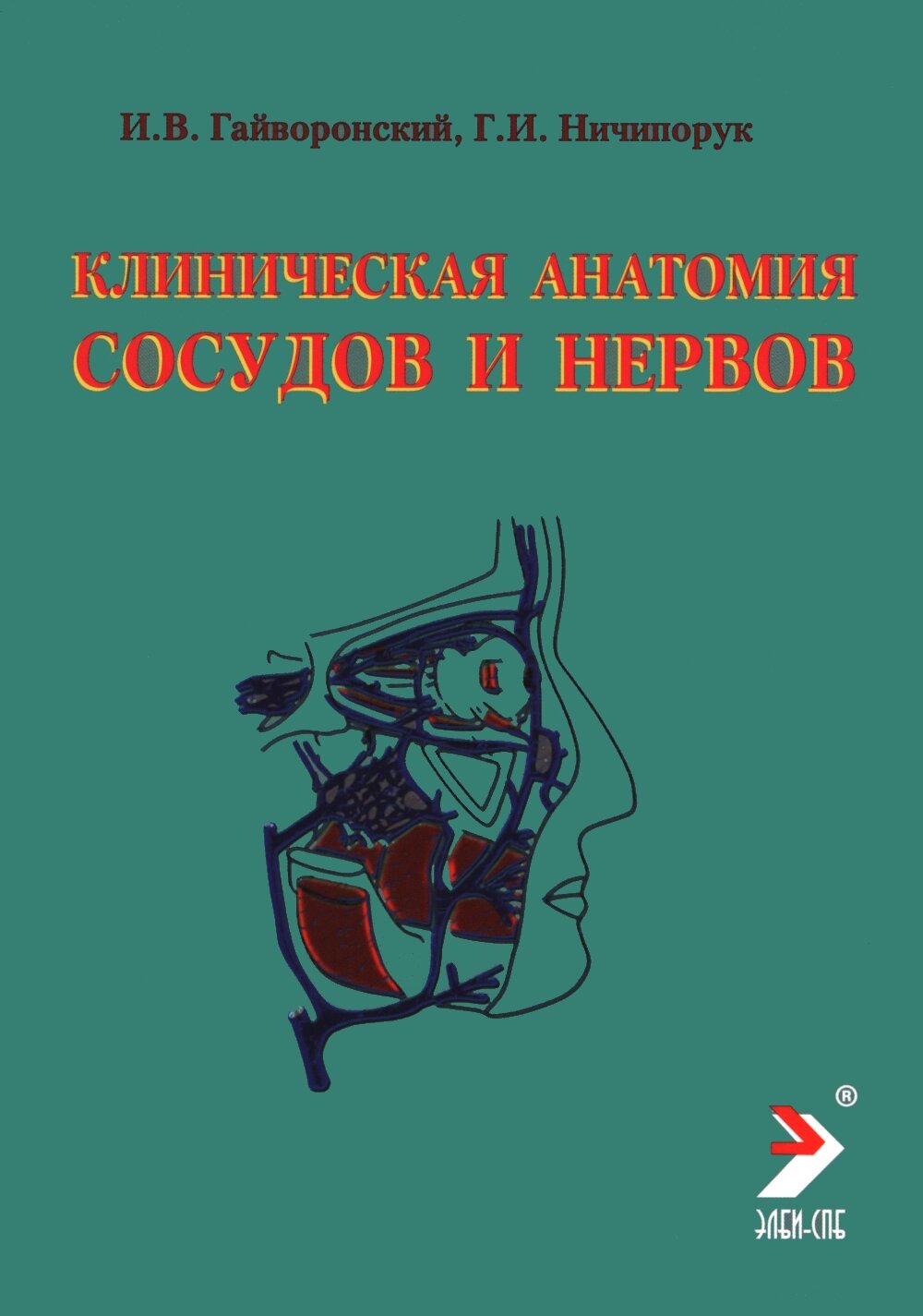 Клиническая анатомия сосудов и нервов: Учебное пособие. 13-е изд, перераб. и доп. Гайворонский И. В, Ничипорук Г. И.