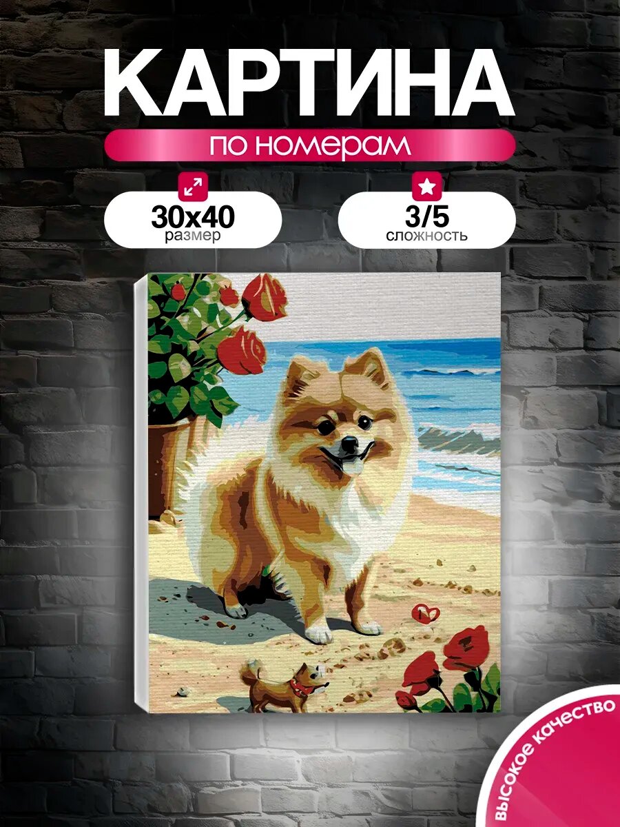 Картина по номерам 30x40 Померанский шпиц