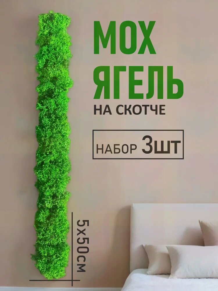 Лента / полоска из стабилизированного мха Ягель, настенное Панно размер 25*25 см, для озеленения интерьера. Набо