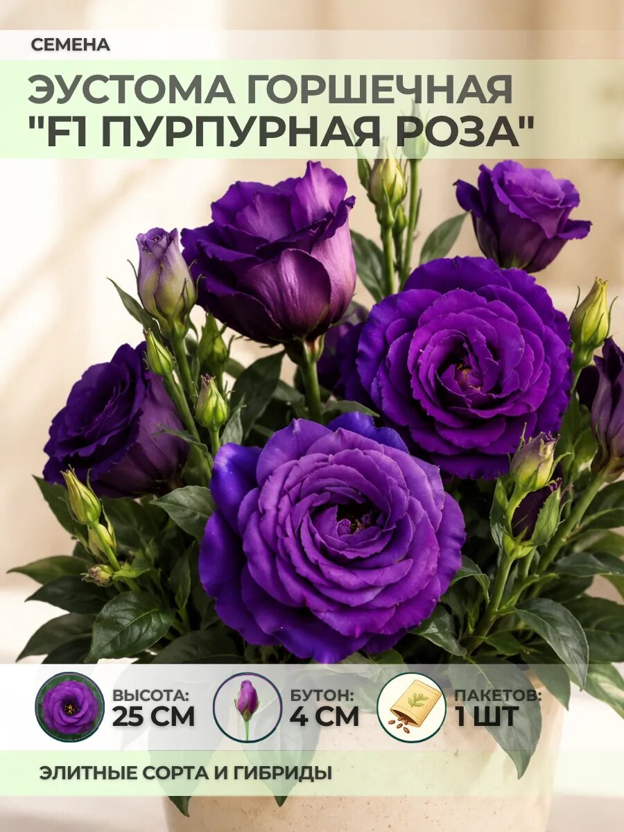 Эустома "Пурпурная" F1, компактный сорт, фиолетово-пурпурные цветки, 1 упаковка, 4 шт. дражированных семян.