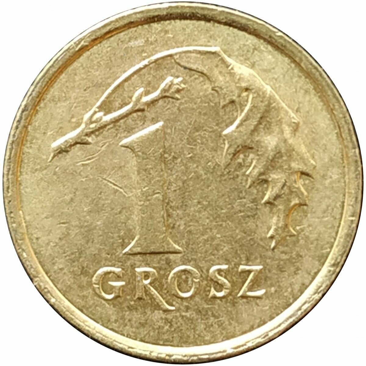 1 грош 2005 Польша из оборота