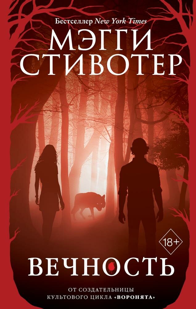 Вечность (Стивотер М.)