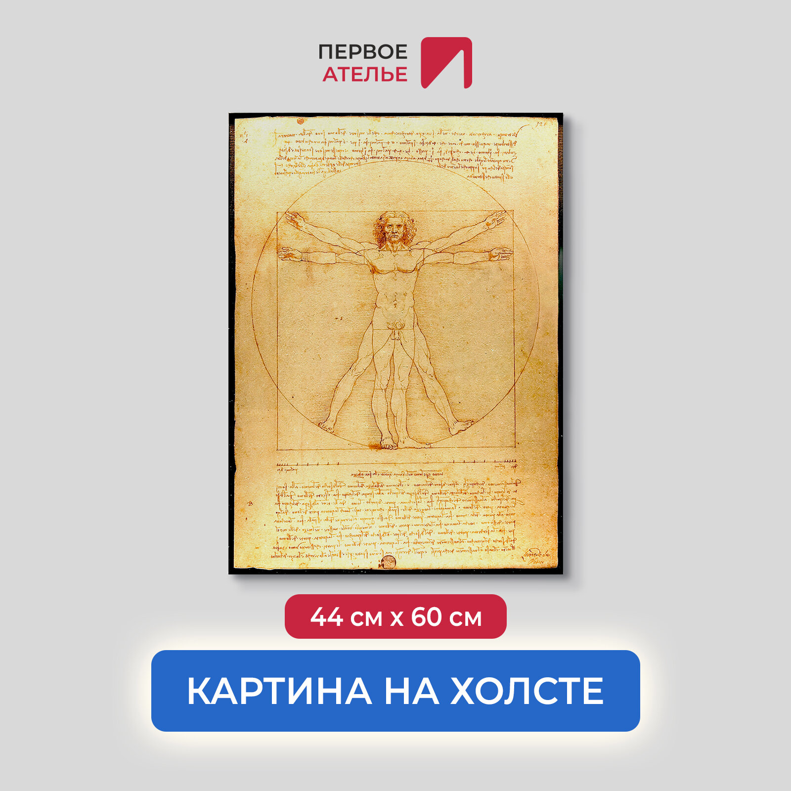 Постер для интерьера на стену первое ателье - репродукция картины Леонардо Да Винчи "Витрувианский человек" 44х60 см (ШхВ), на холсте