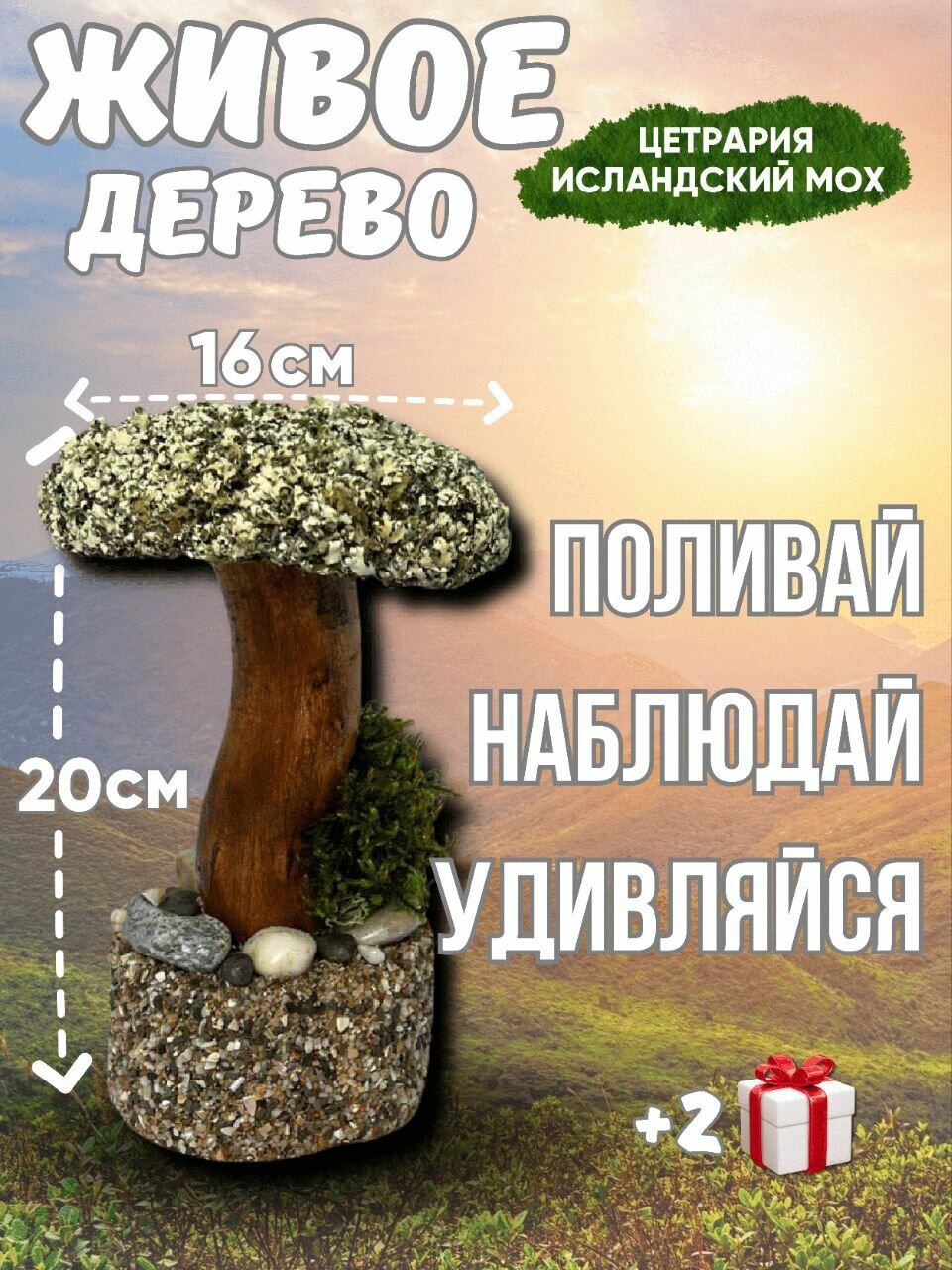 Живое дерево из исландского мха цетрария "Шикарный" 20 см