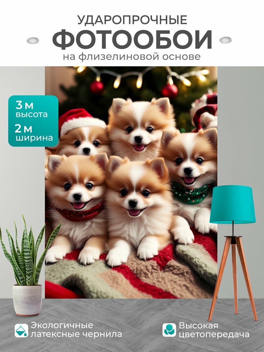 Фотообои моющиеся ударопрочные любителям собак, поклонникам породы шпиц, фанатам Рождества, любителям пушистых питомцев, детям, поклонникам новогодних" 200x300 см. флизелиновые на стену