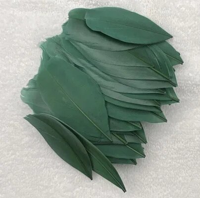 Окрашенные гусиные перья для рукоделия 50 шт Изумрудный, 100pcs, Dark Green