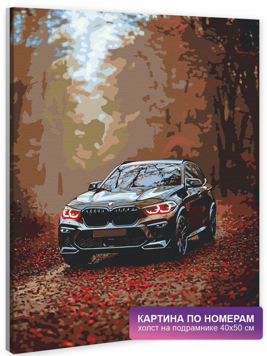 Картина по номерам на холсте с подрамником 40х50 см. Автомобиль, машина. "БМВ BMW X5", арт. 5636/
