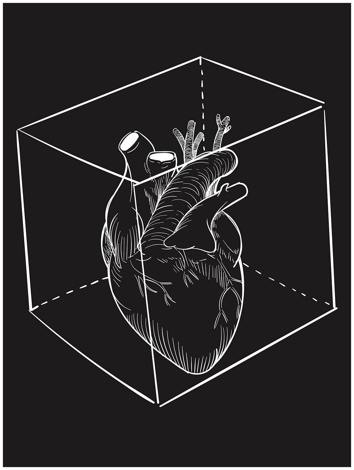 Постер / Плакат / Картина Сердце в кубе 40х50 см в подарочном тубусе