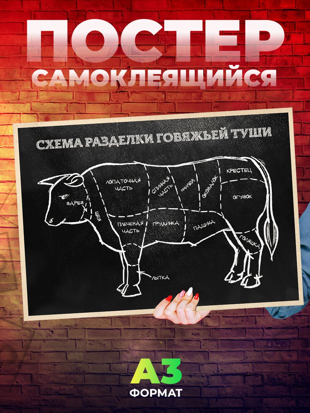 S370 Плакат Схема разделки говяжьей туши для кухни А3