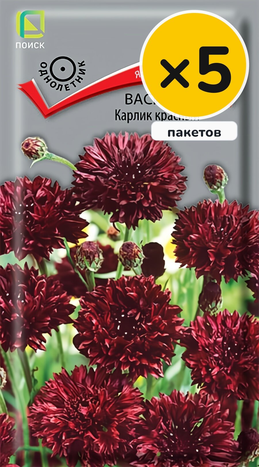 Семена василька Карлик красный, 0,1 г, 5 пакетов, Поиск, однолетник, высота до 25 см, посев в грунт в апреле–мае