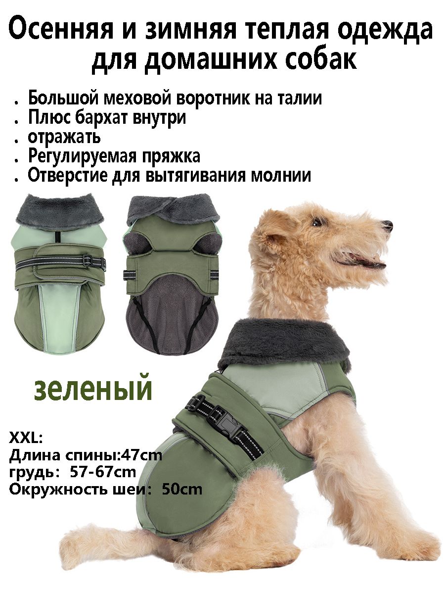 Теплая куртка из корсета и бархата для домашних животных, зеленая