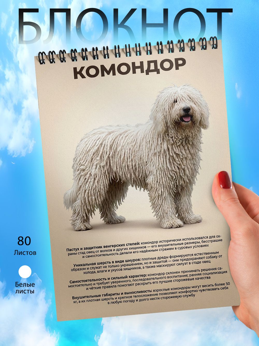 Блокнот А6 - Комондор