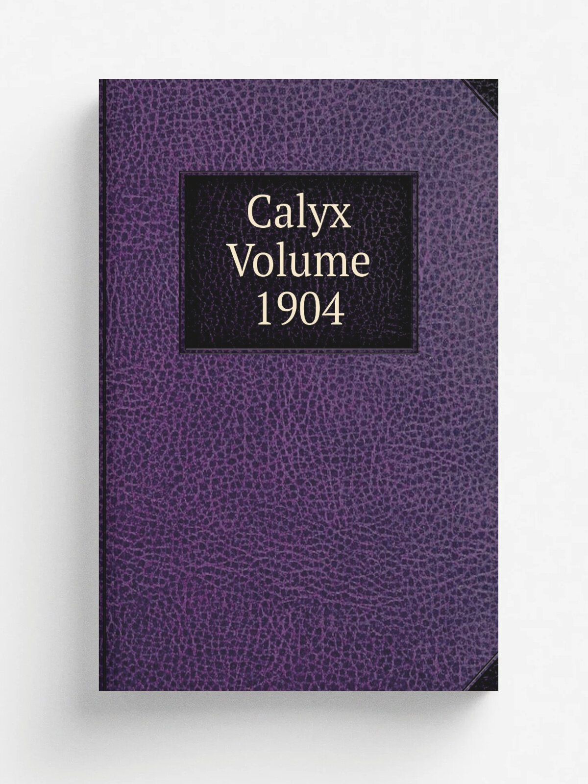 Calyx Volume 1904