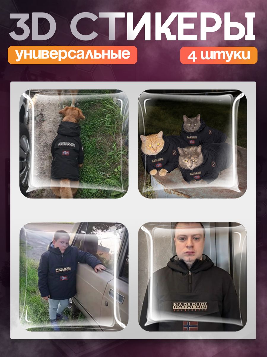 Наклейка на телефон 3д мем Напапири Анорак Napapijri