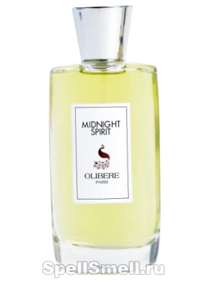 Мужской парфюм Olibere Parfums Midnight Spirit 50 мл - Миднайт Спирит