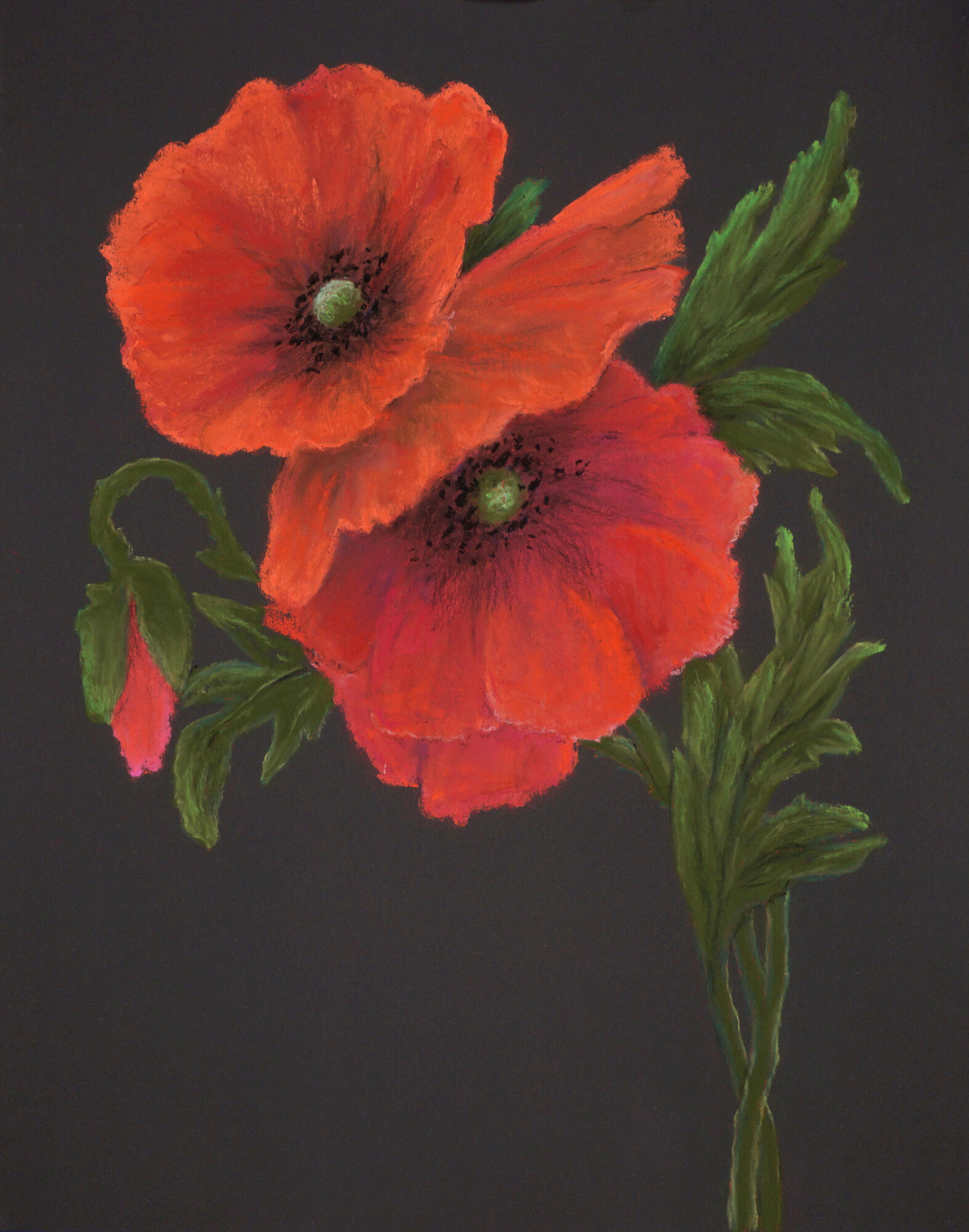 Алые маки • Интерьерная картина пастелью на черном фоне • Ручная работа