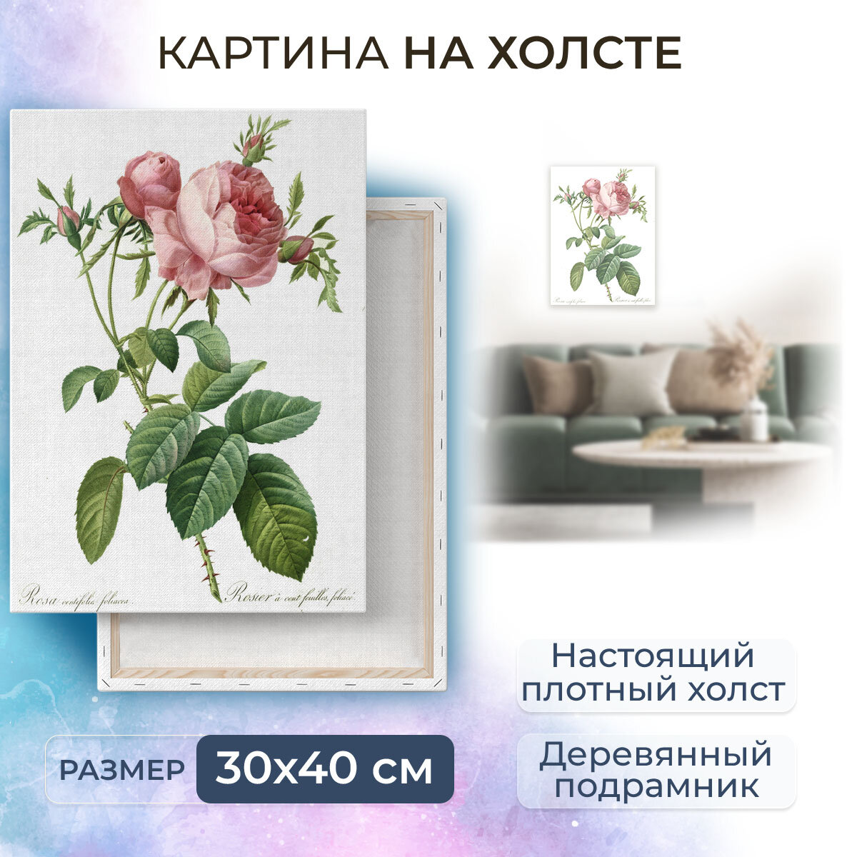 Картина на холсте с подрамником / Pierr - Joseph Redoute / Пьер-Жозеф Редуте