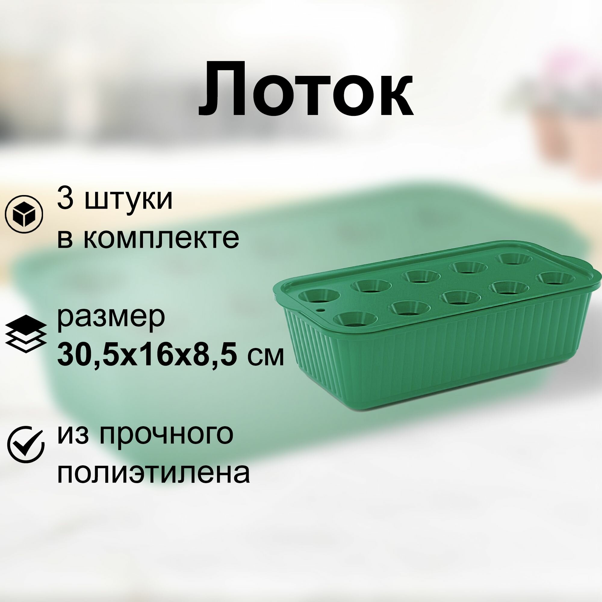 Лоток, 30,5х16х8,5 см, 3 штуки: из прочного полиэтилена; внутри 10 круглых ячеек; прекрасно подходит для выращивания зеленого лука