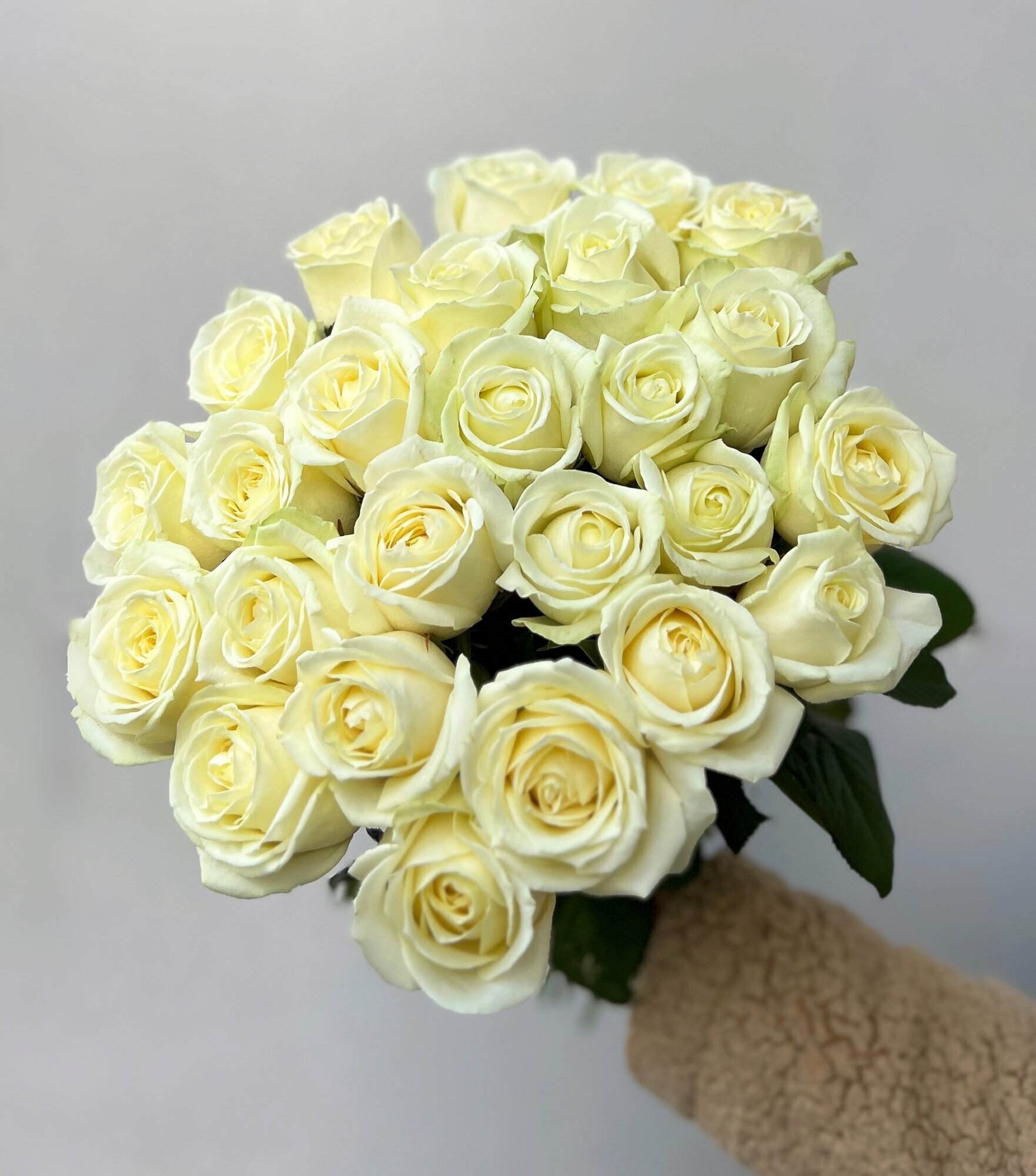 Букет из 25 белых роз, красивый букет цветов 60 см, монобукет букет живых цветов, Россия