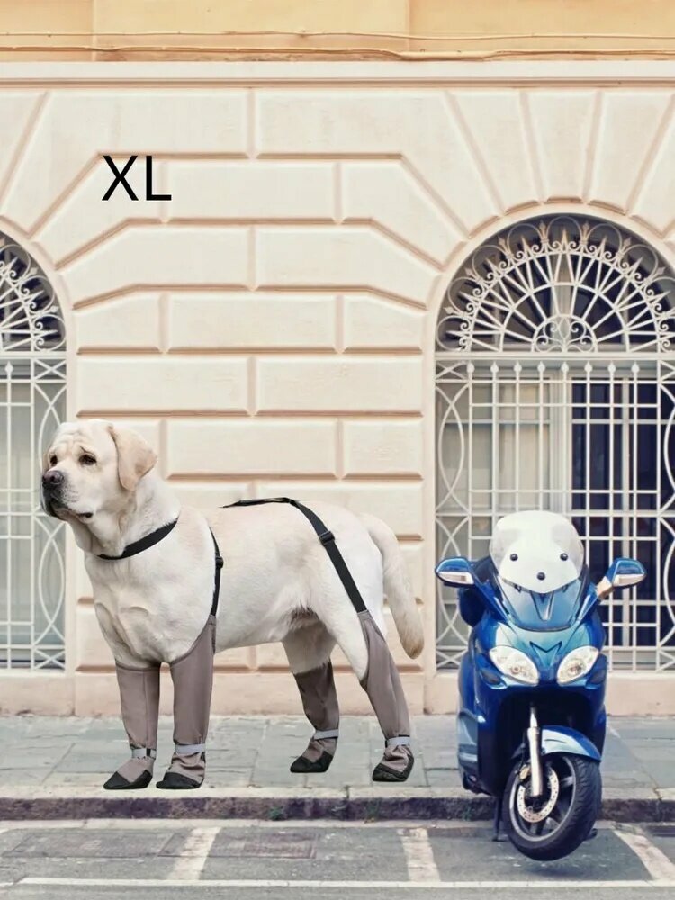 Сапожки для собак с подтяжками / размер XL Для лабрадор-ретриверов, -ретриверов и сибирских хасков