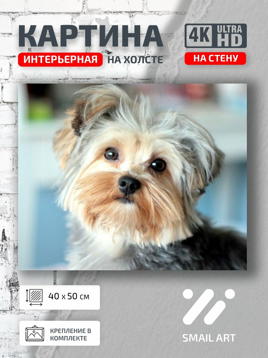 Картина на холсте интерьерная 40 на 50 на стену Собачка Mood для кабинета атмосфера декор
