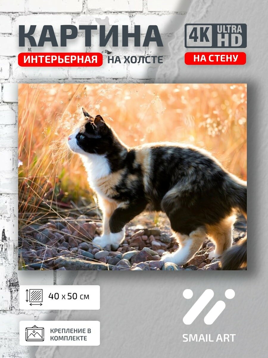 Картина на холсте интерьерная 40 на 50 на стену Кошка природе для гостиной атмосфера
