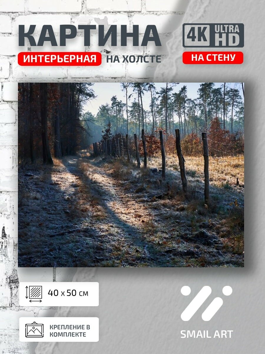 Картина на холсте интерьерная 40 на 50 на стену Природа лес для кабинета пейзаж