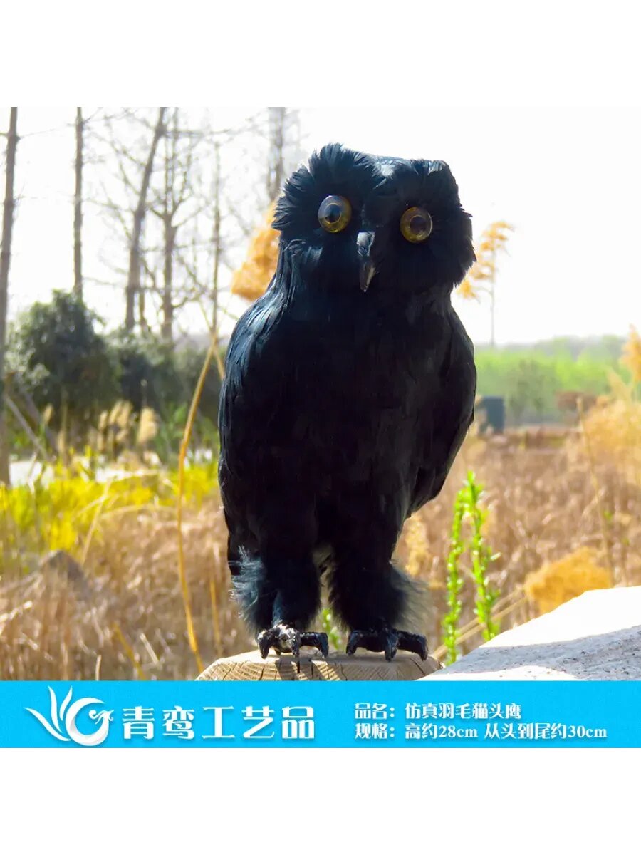 Сова белая крылья Другие материалы ремесла