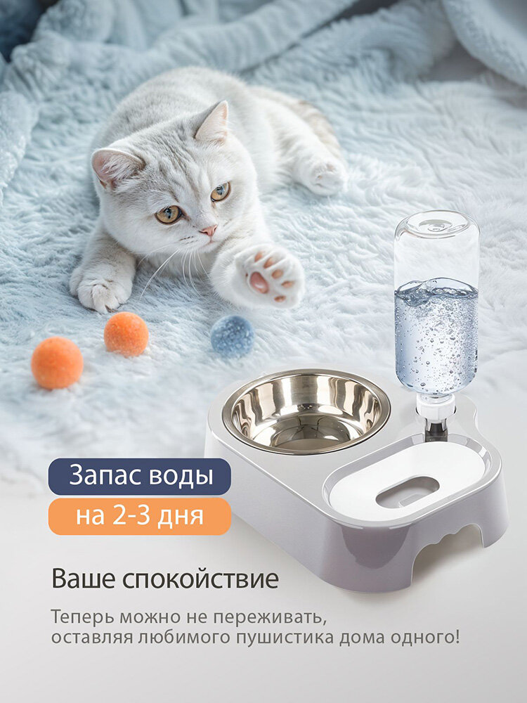 Миска для животных — фото 1