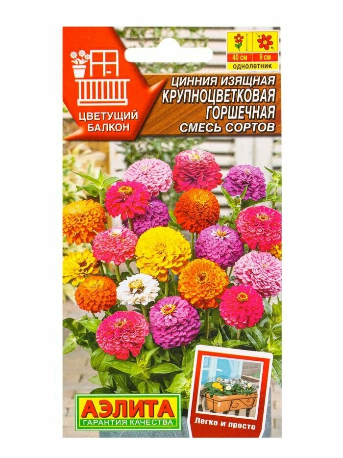 Семена цветов Цинния крупноцветковая горшечная, смесь сортов, 12 семечек , аэлита
