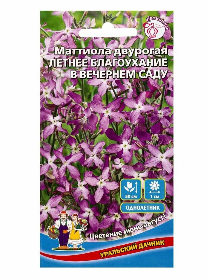Семена Цветы Маттиола двурогая Летнее благоухание в вечернем саду (УД) Е/П , Е/П, 0,25 г.