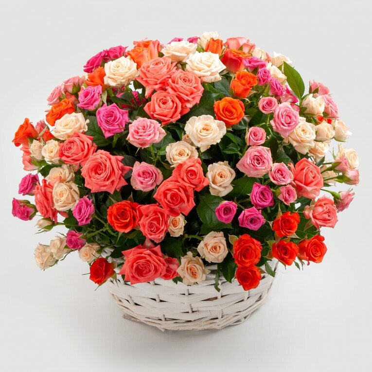 Букет "Первый поцелуй" СоюзЦветТорг, роза кустовая, 51 цветок, в корзине, высота 45см