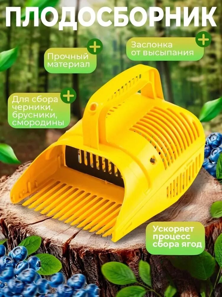 Плодосборник