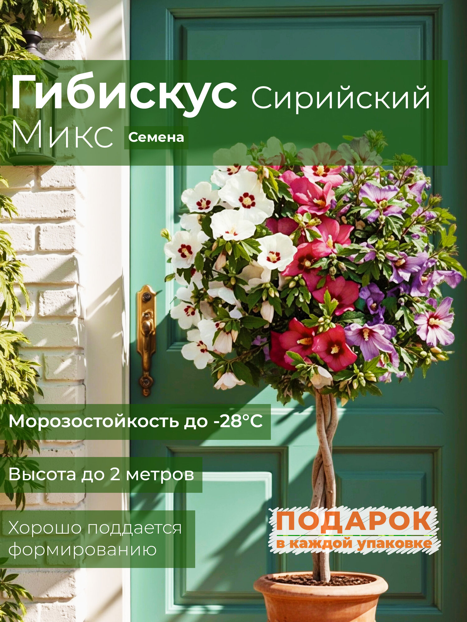 Гибискус Сирийский Микс, 25 семян, семена цветов, семена декоративных растений