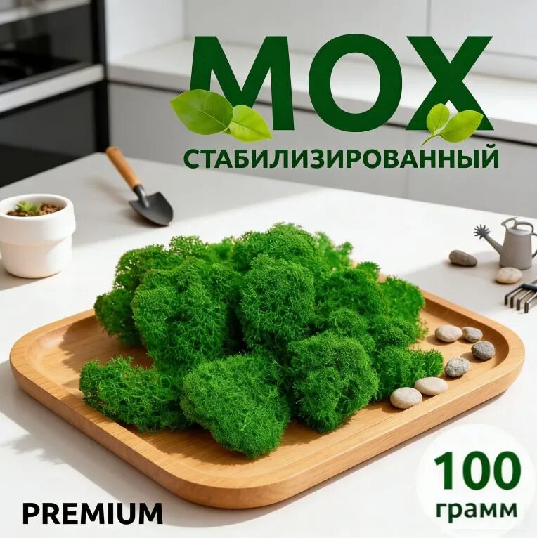 Стабилизированный мох Мох, 7 см, 150 гр, 100 шт