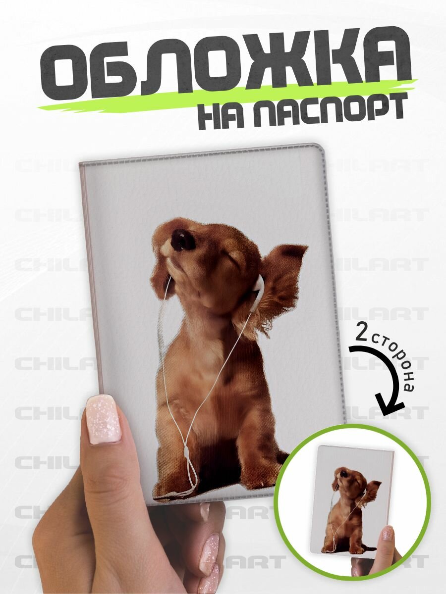 Обложка для паспорта ChilArt