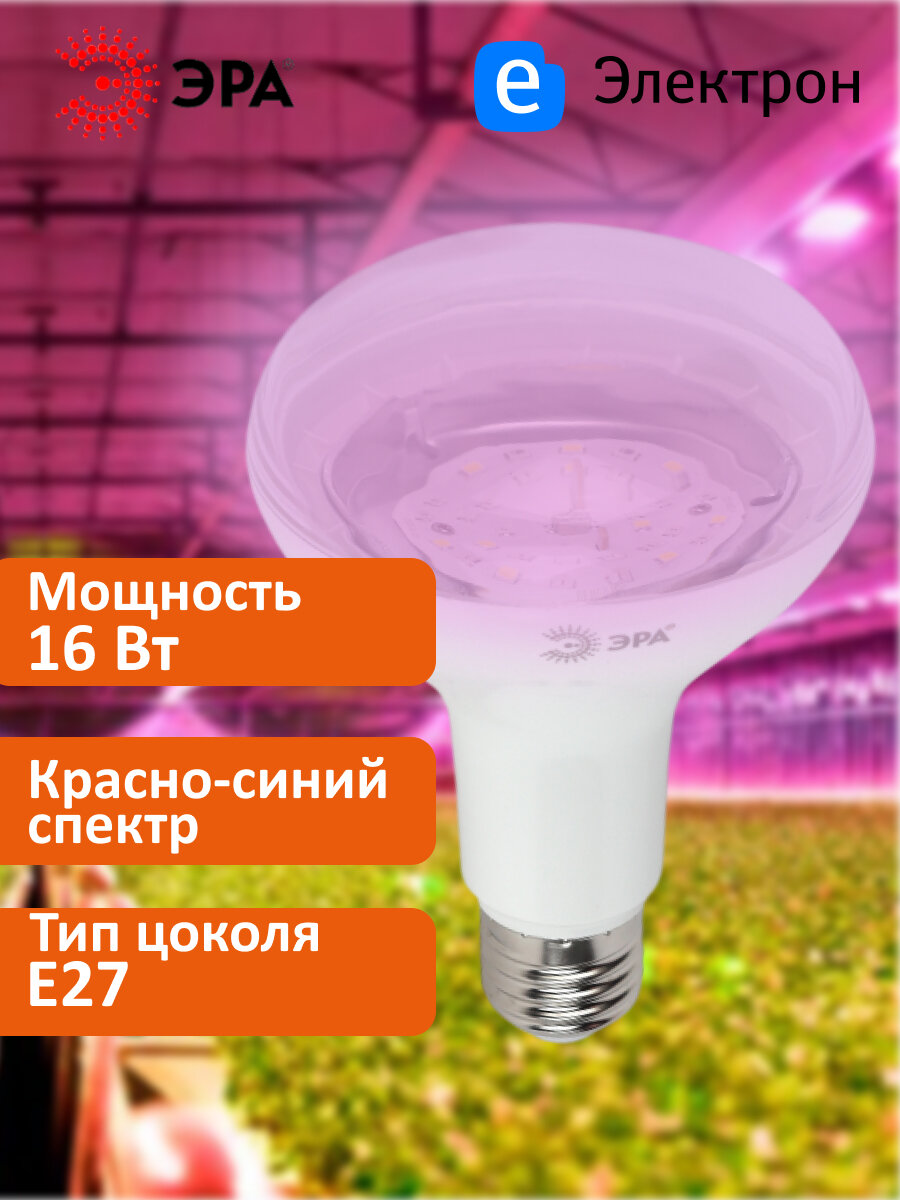 Фитолампа для растений светодиодная ЭРА FITO 16 Вт Е27 красно-синего спектра Б0039072