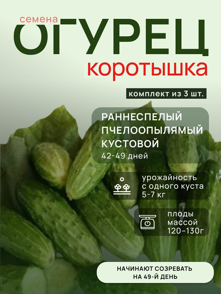 Семена огурца Аэлита "Коротышка", раннеспелый, пчелоопыляемый, 3 штуки