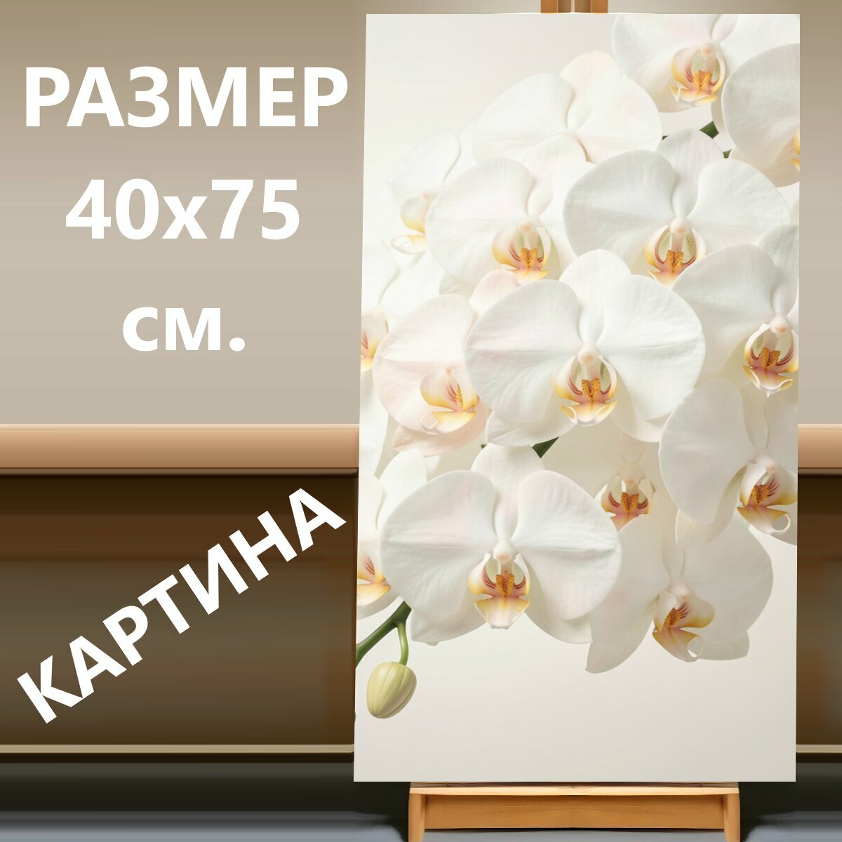 Картина на холсте "Белые орхидеи на светлом фоне. Нежные тропические цветы в кремово-белой гамме с золотистыми сердцевинами, изящная." на подрамнике 75х40 см. для интерьера