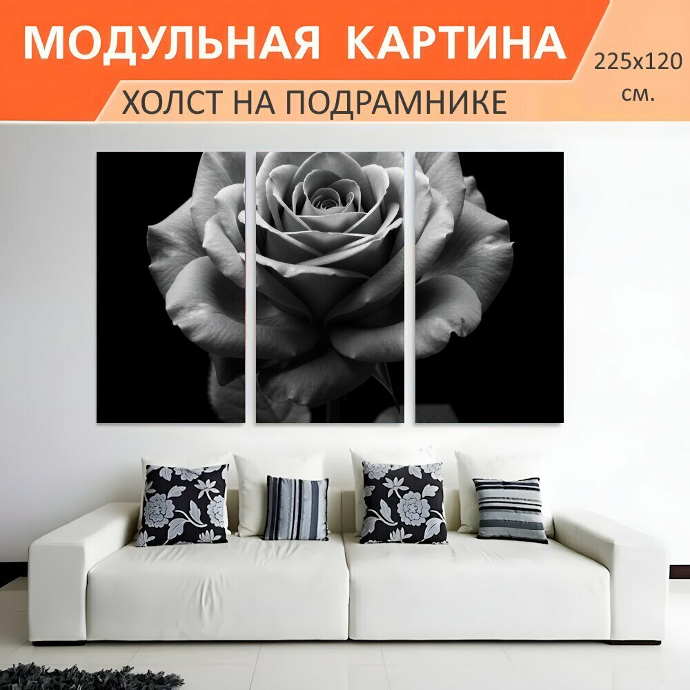 Модульная картина на холсте "Белая роза на черном фоне. Монохромный крупный цветок с бархатистыми лепестками и тонким стеблем." триптих на подрамнике 225х120 см. для интерьера
