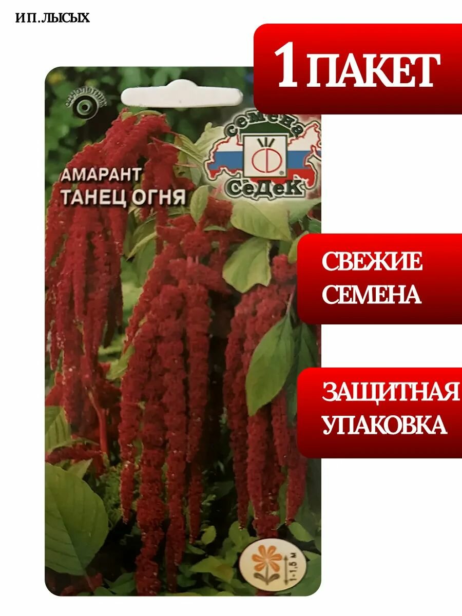 Семена Амарант "Танец Огня"