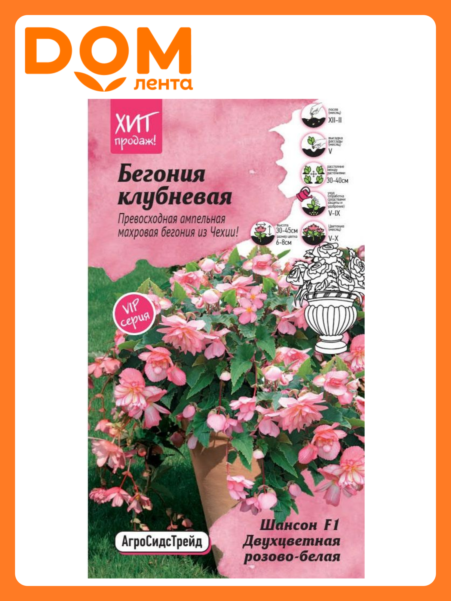 Бегония клубневая Шансон Двухцветная розово-белая F1 5 шт АСТ