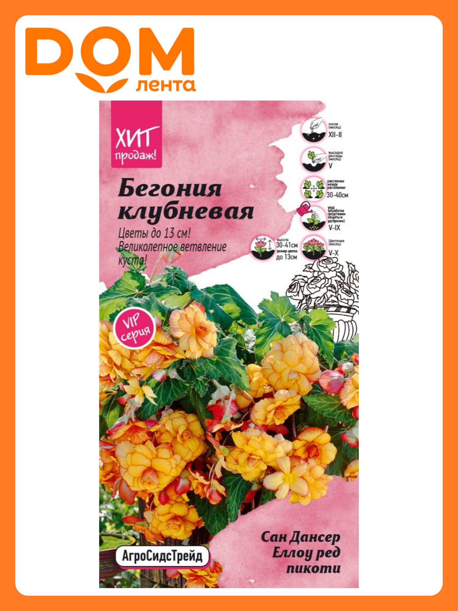 Бегония клубневая Сан дансер Еллоу ред пикоти 5 шт АСТ