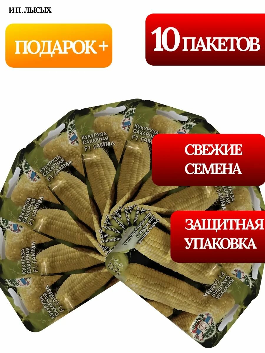 Семена Кукуруза "Гамма"