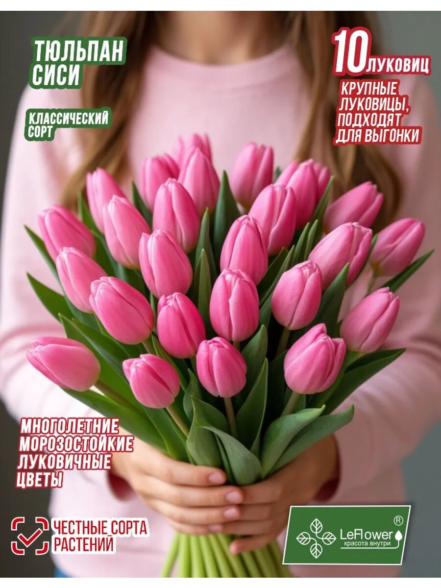 Тюльпан сиси 10 луковиц, крупные