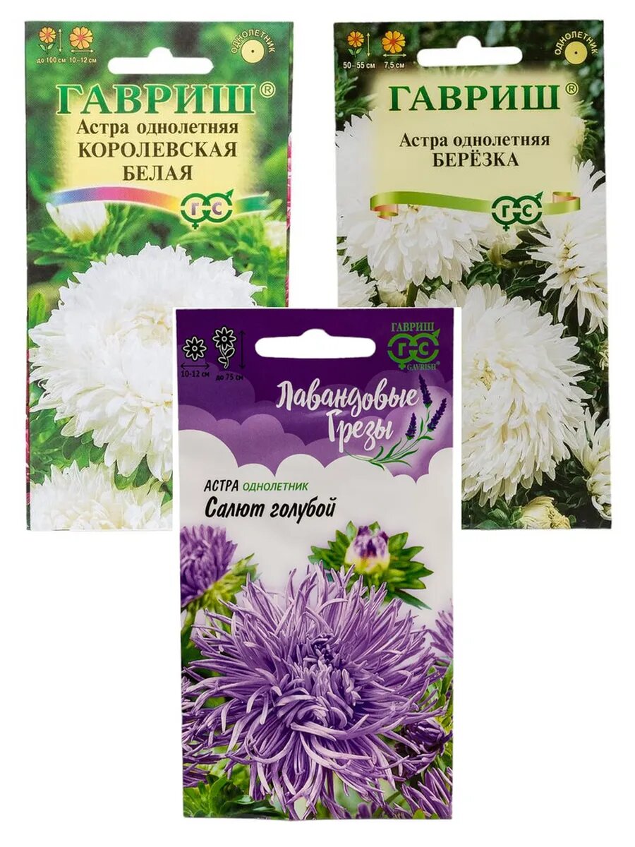 Набор семян Астра Королевская Белая, Березка и Салют голубой