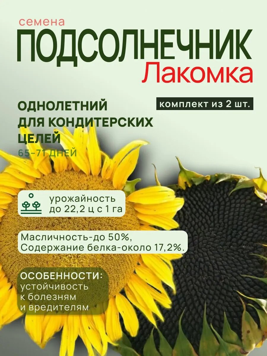 Семена подсолнечника сорт "Лакомка", высокоурожайный, 2 пачки