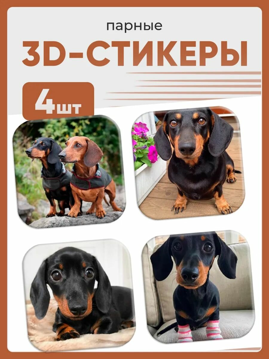 3D стикеры на телефон таксы