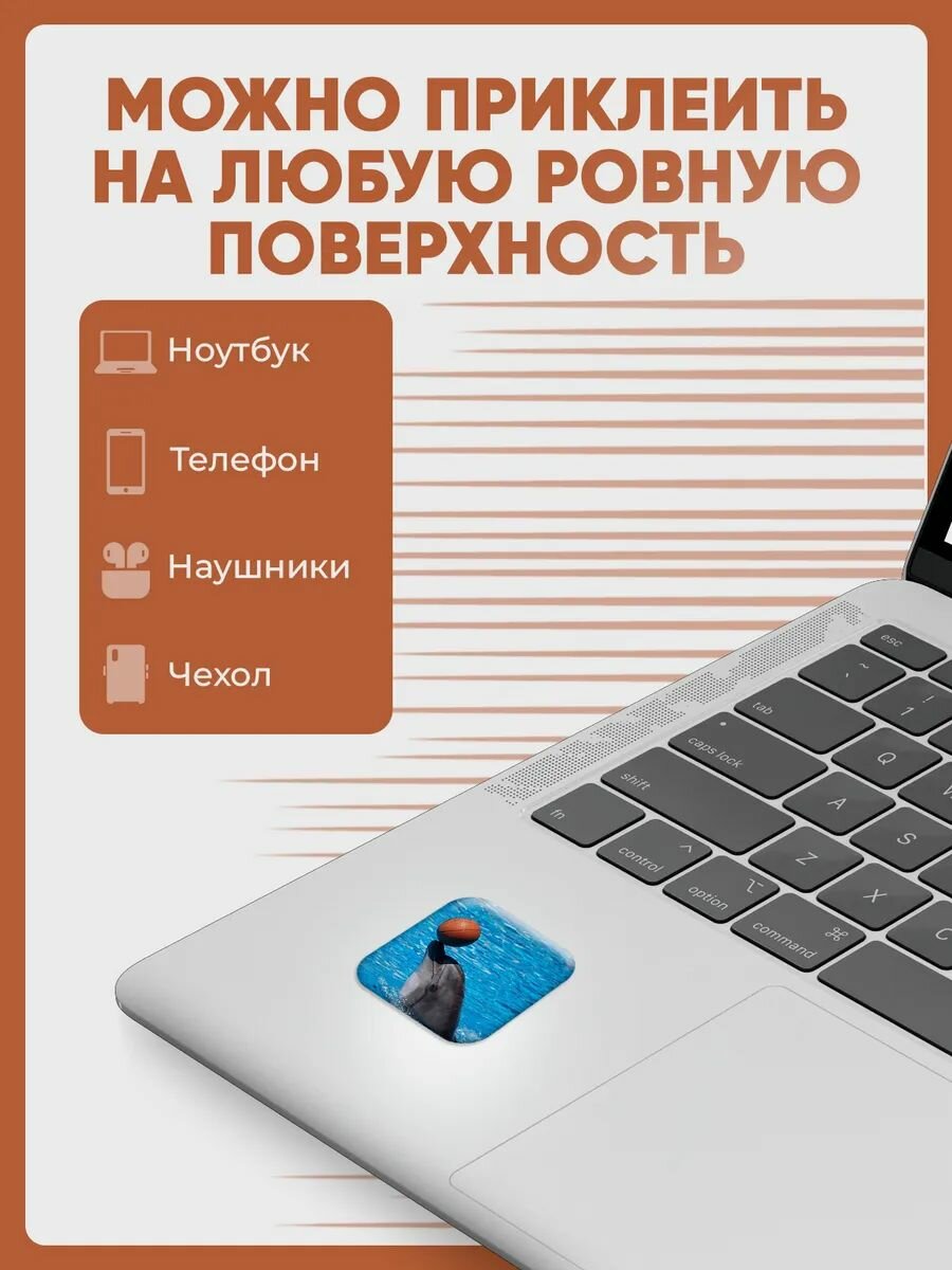 3D стикеры на телефон Дельфины — фото 1